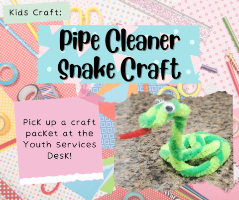 Take & Make - Pipe Cleaner Snake Craft | Bartlesville Public Library